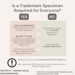 What Is a Trademark Specimen? Guide to Acceptable Proof of Use Examples
