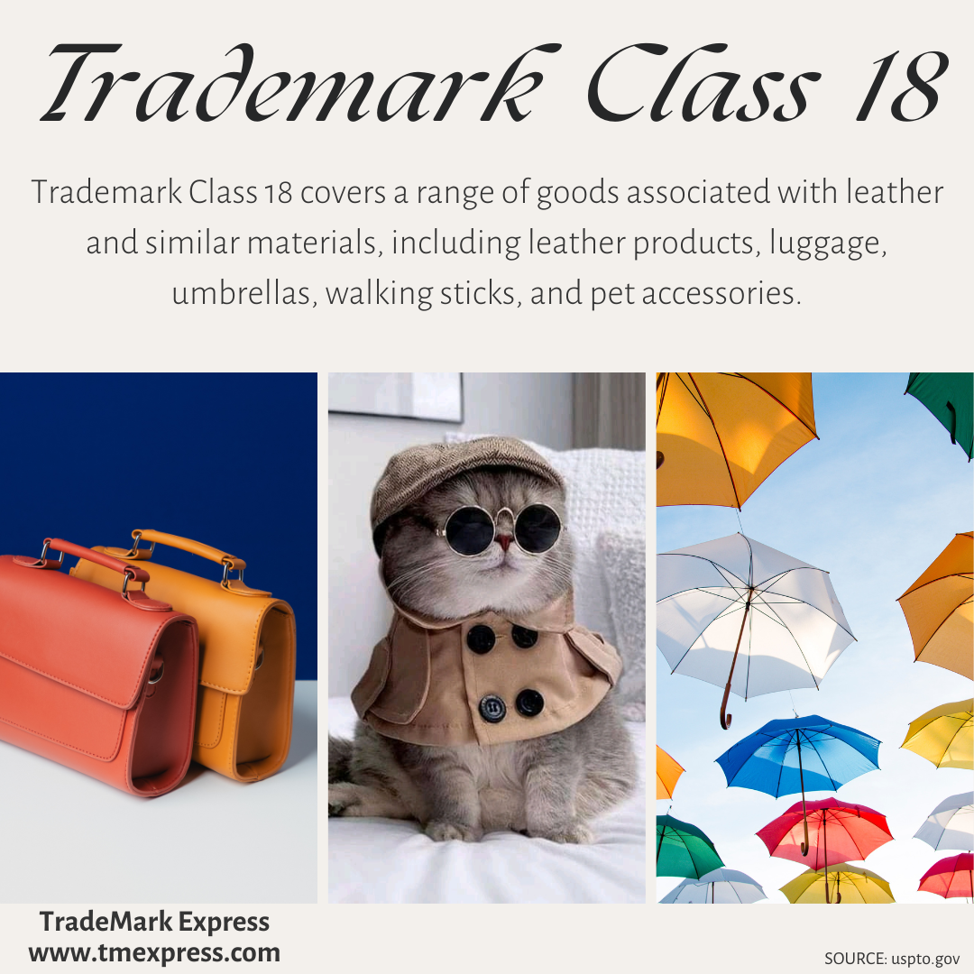Trademark Class 18, Leather Goods