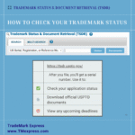 How to Check Your Trademark Status